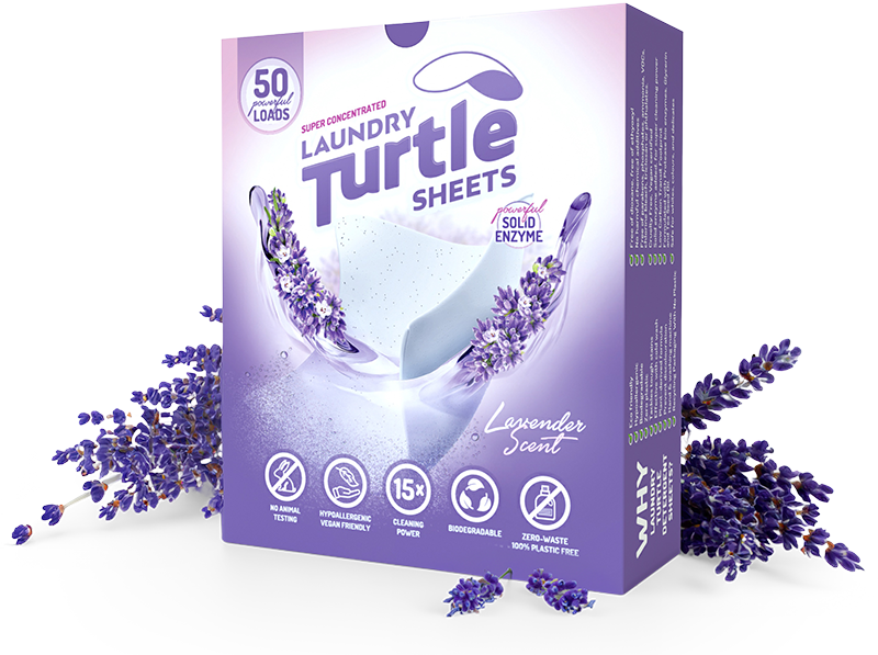Laundry Turtle Sheets